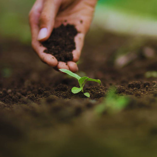 Shop online Natural Fertilizer by Foliar Tech: Humic Acid Formula